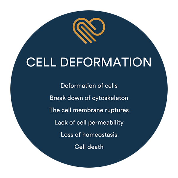 How and where do pressure ulcers occur? - careofsweden